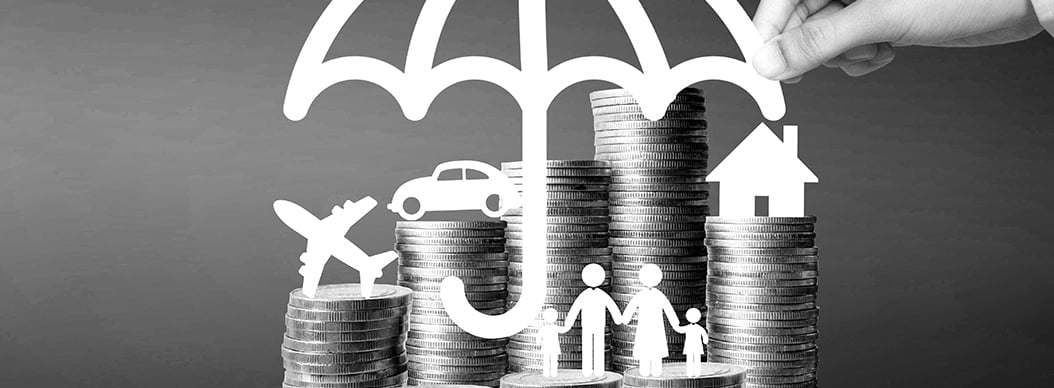 Insurance Services | Minnesota Life | Education First FCU